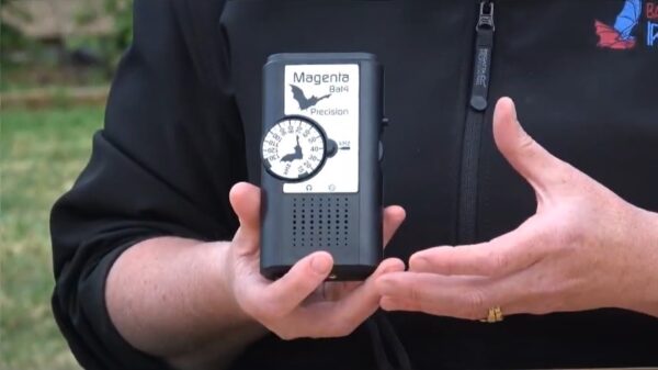 Bat Detectors - Bat Conservation Ireland